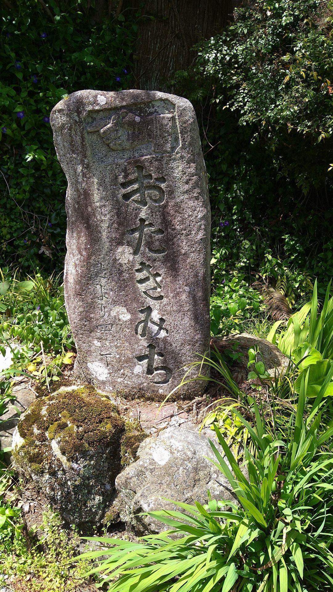 「森林浴いっぱいの養老の滝ウォーキング」: 「ズッコケじいちゃん」のひとりごと